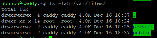 Need help setting up a simple file server · Issue #4483 · caddyserver/caddy · GitHub