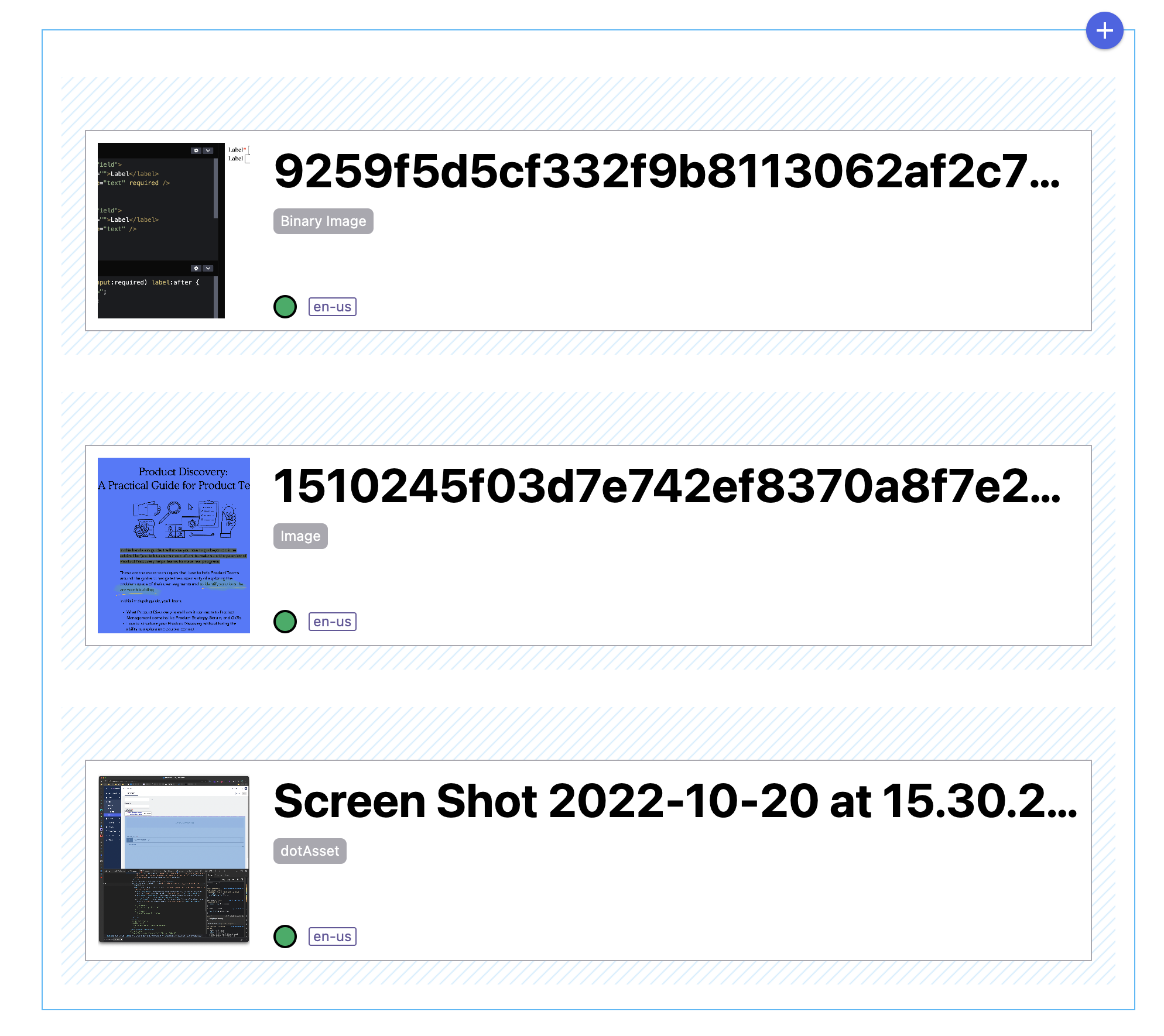 System Container shows broken images when adding · Issue #23088 · dotCMS/core · GitHub