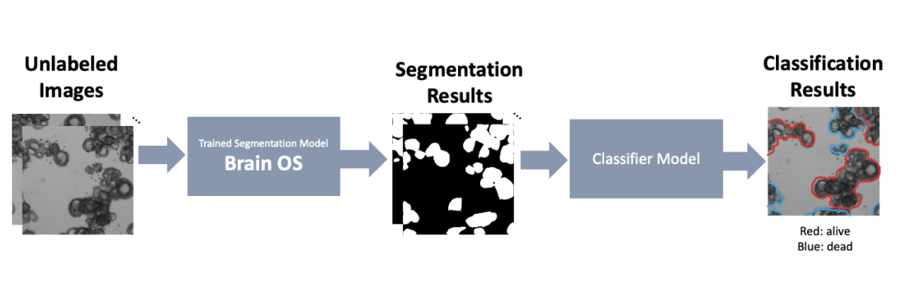 GitHub - igemsoftware2021/Software