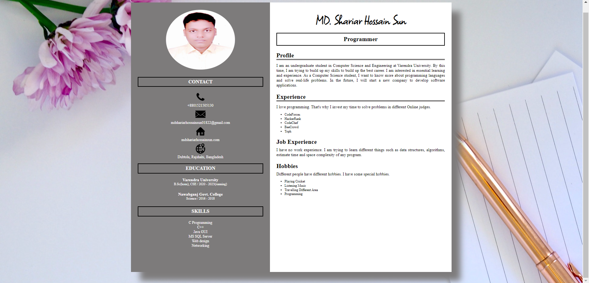 GitHub - sun01822/Project-08-CV: To build this, I use simple HTML and CSS.