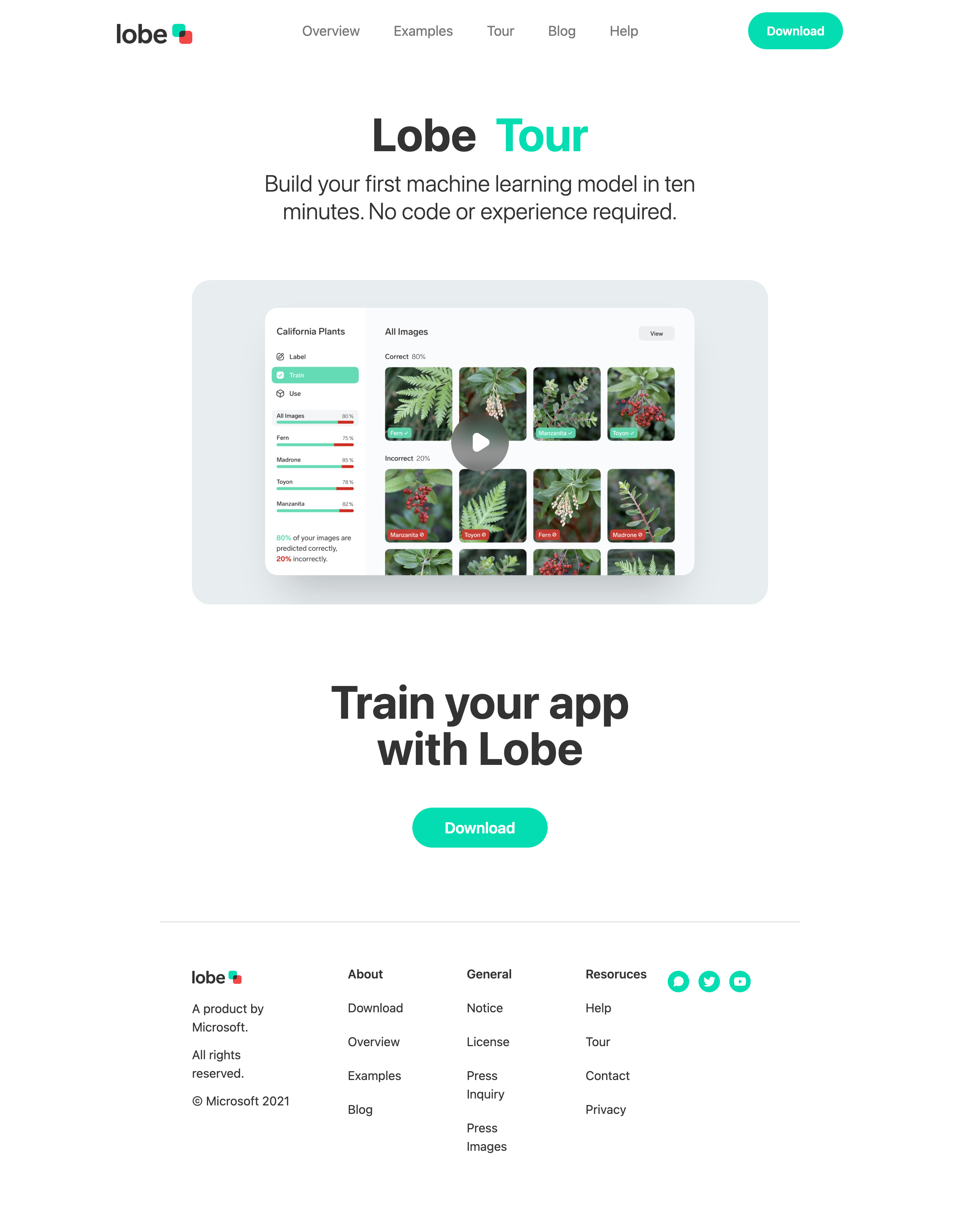 GitHub - MatejBendik/tailwind-practice: This repository contains my projects for practicing ...