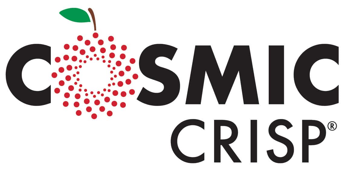 GitHub - hatchways/team-cosmic-crisp