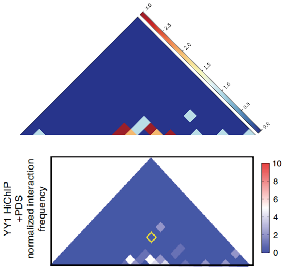 Error:'Some.cool' is not an HDF5 file when using hicPlotMatrix · Issue #662 · deeptools ...