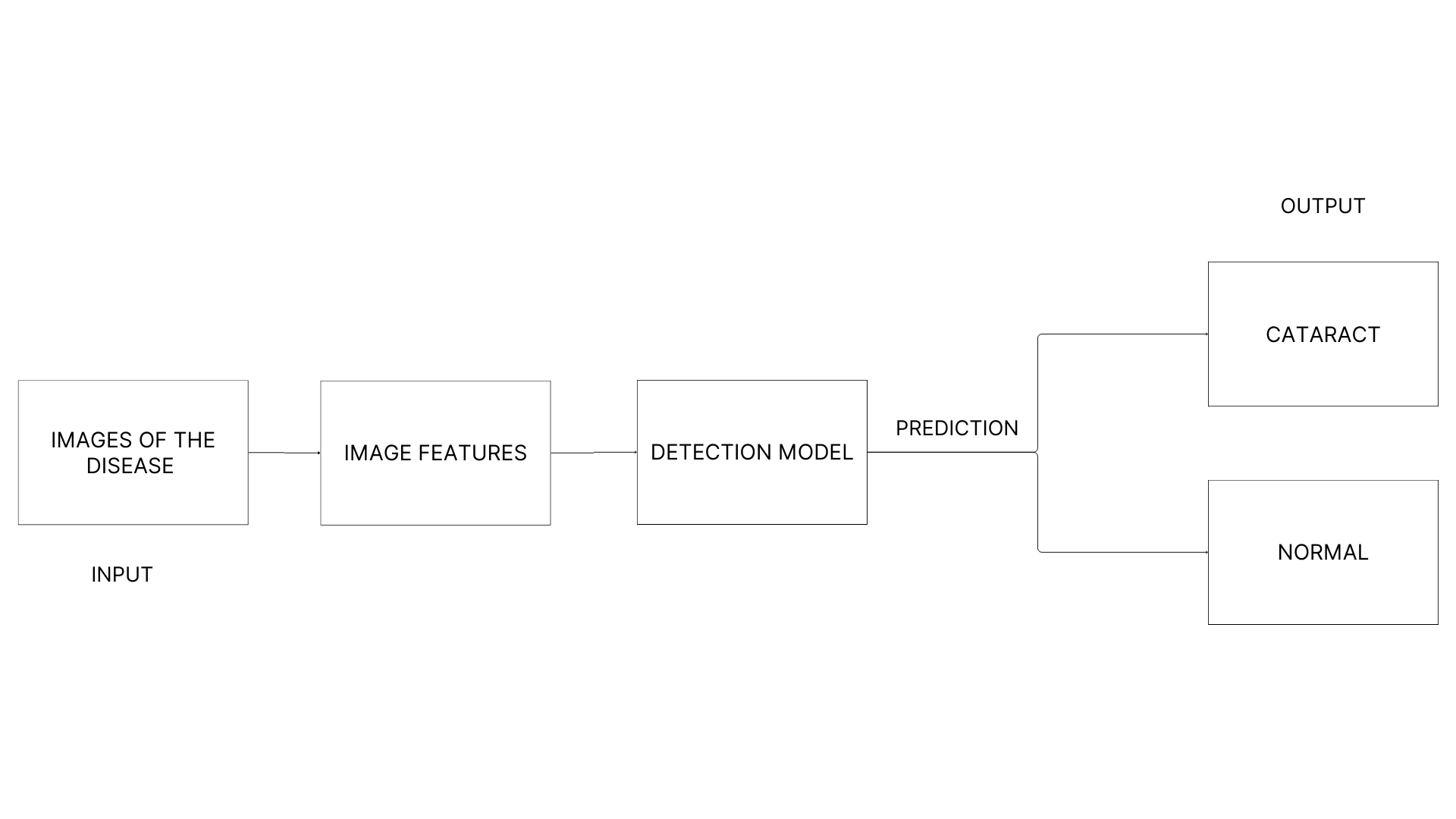 Github Safzz Cataract Detection