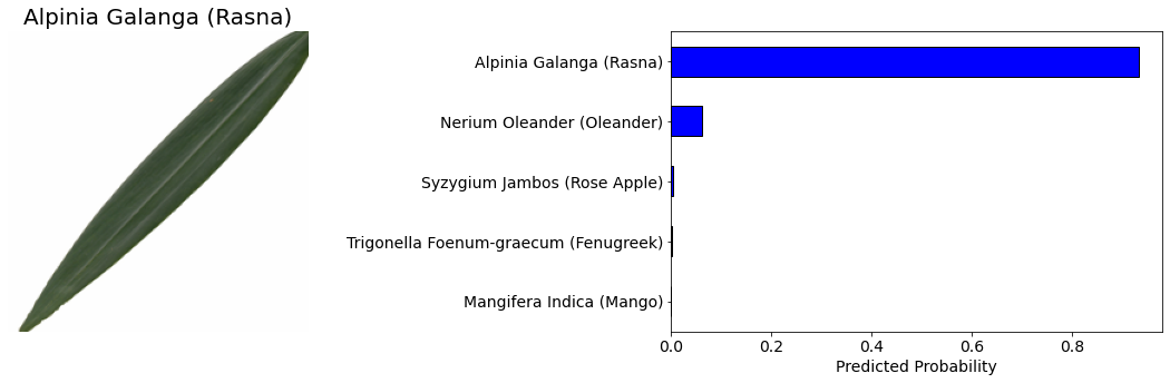 GitHub - AusafMo/NoteBook-Medicinal-Herb-Model-ResNet: A possible tool for assistance in ...