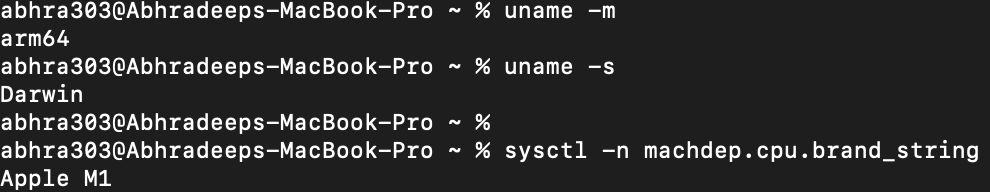 Showing Bad Cpu Type In Executable Error While Trying To Run Datree · Issue 384 · Datreeio 7582