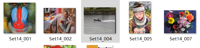 Set14 dataset miss Set14_003.img!!! · Issue #110 · leftthomas/SRGAN · GitHub