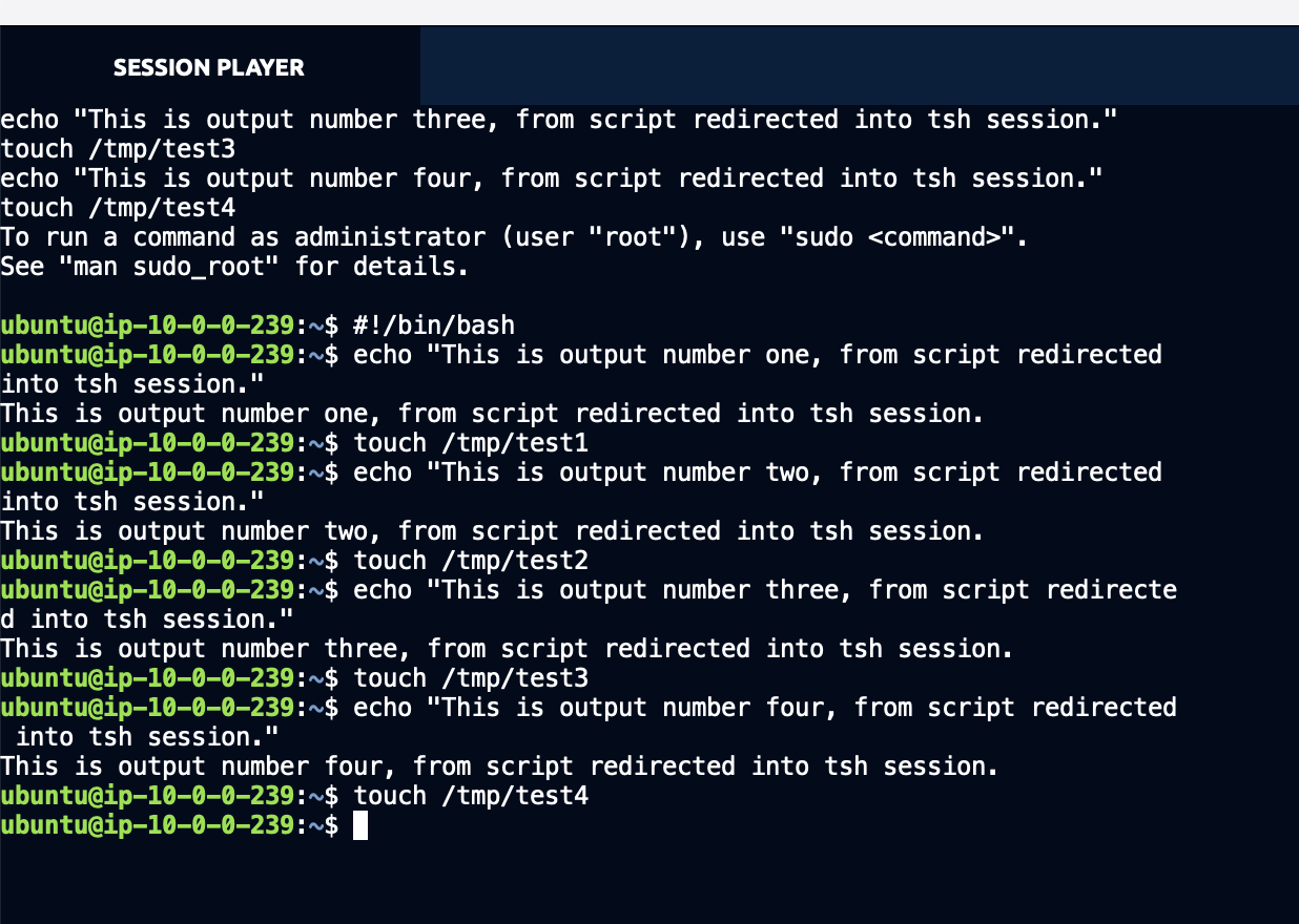 Script executed via stdin redirection isn't recorded properly · Issue ...
