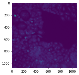 Compression seems to reduce performance · Issue #204 · cytomining/DeepProfiler · GitHub