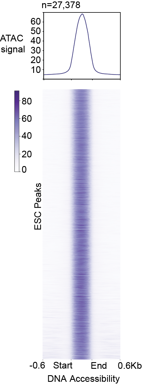 GitHub - HodgesGenomicsLab/NatProtocols_ATACme: Scripts for the ...