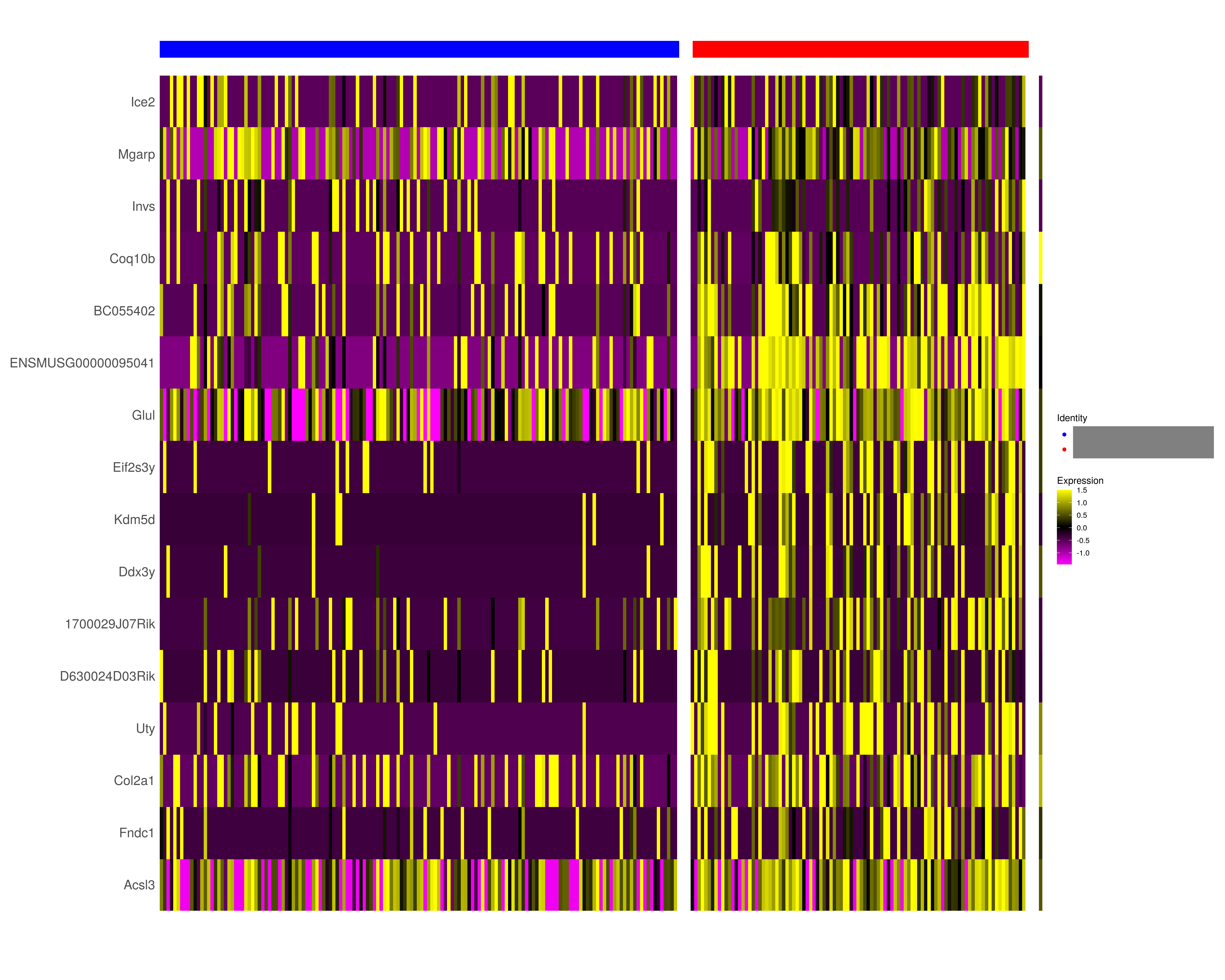 DoHeatmap shifts one column · Issue #7234 · satijalab/seurat · GitHub