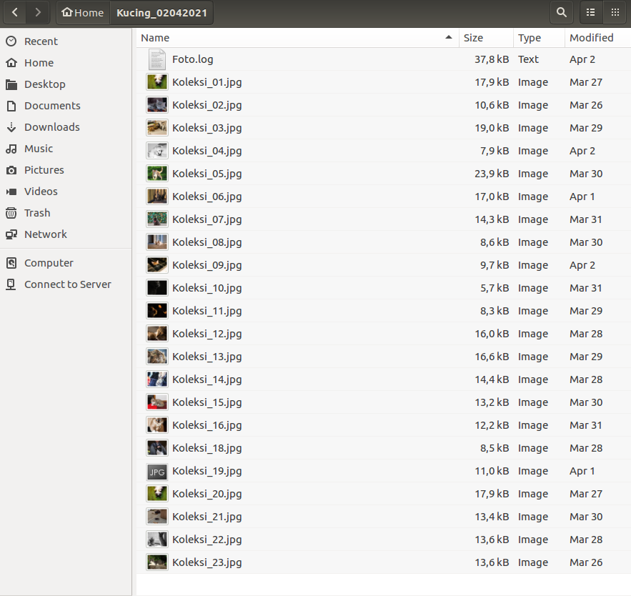 GitHub - erzajanitra/soal-shift-sisop-modul-1-A11-2021
