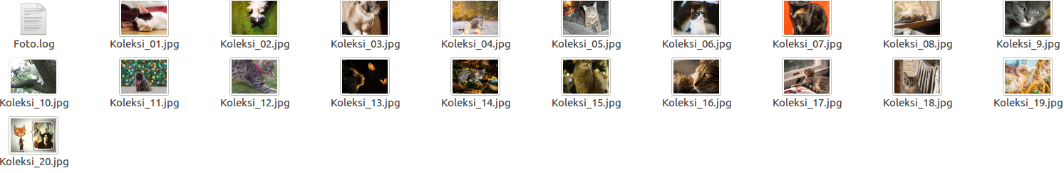 GitHub - erzajanitra/soal-shift-sisop-modul-1-A11-2021