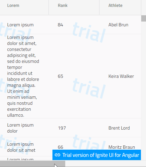 IgxGrid - issue with the scrollbars when the dimensions of the grid are set in percentages ...