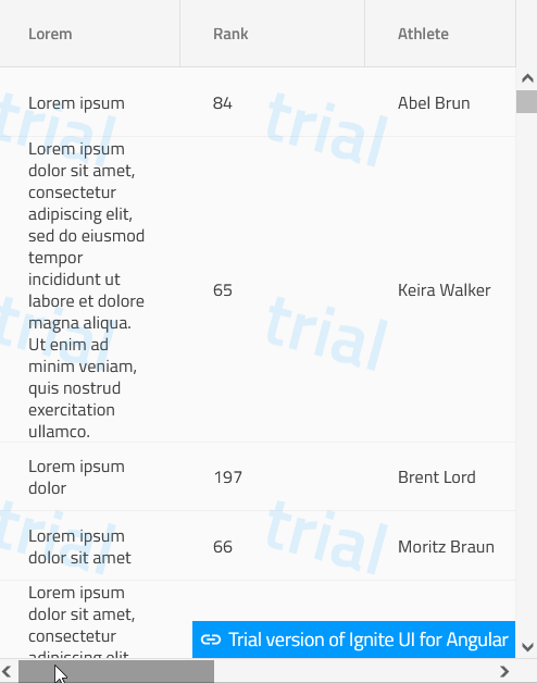 IgxGrid - issue with the scrollbars when the dimensions of the grid are set in percentages ...