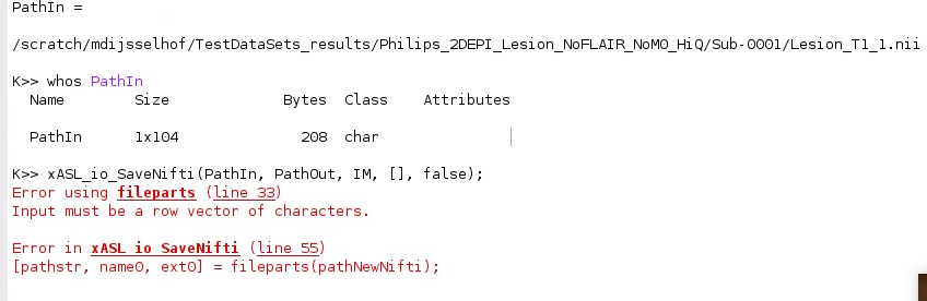 Testing and fixing bugs · Issue #483 · ExploreASL/ExploreASL · GitHub