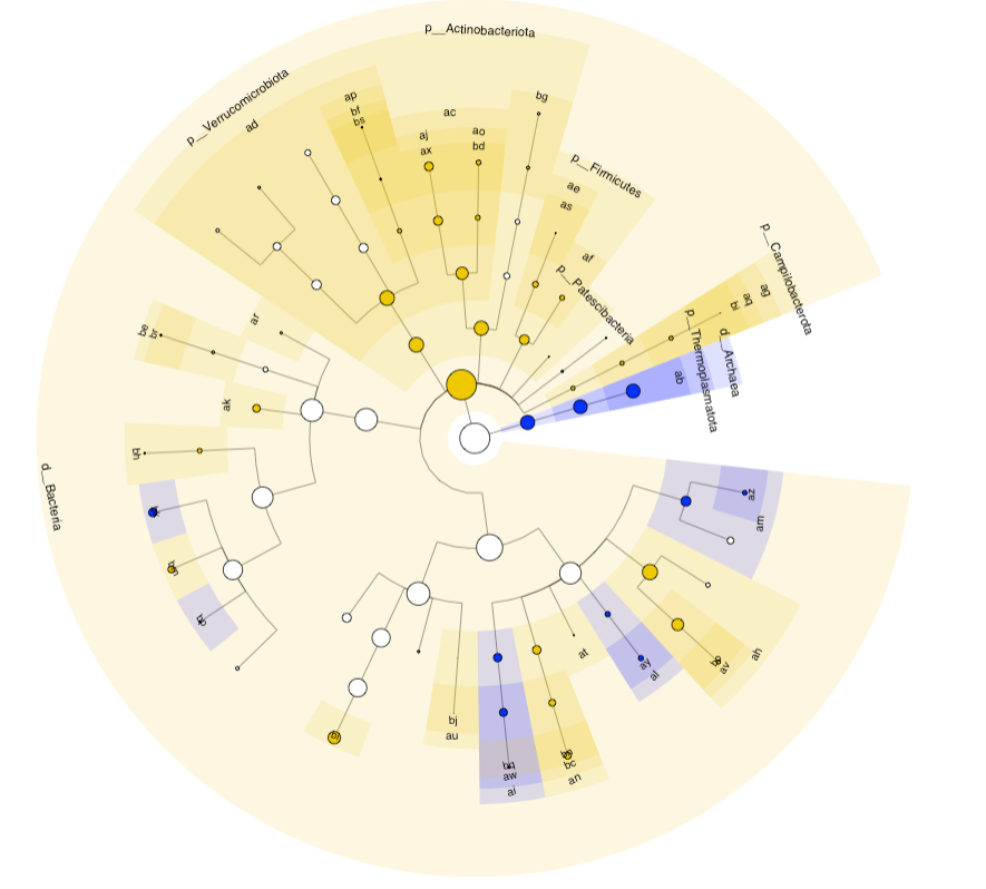 cladogram aesthetics · Issue #180 · ChiLiubio/microeco · GitHub