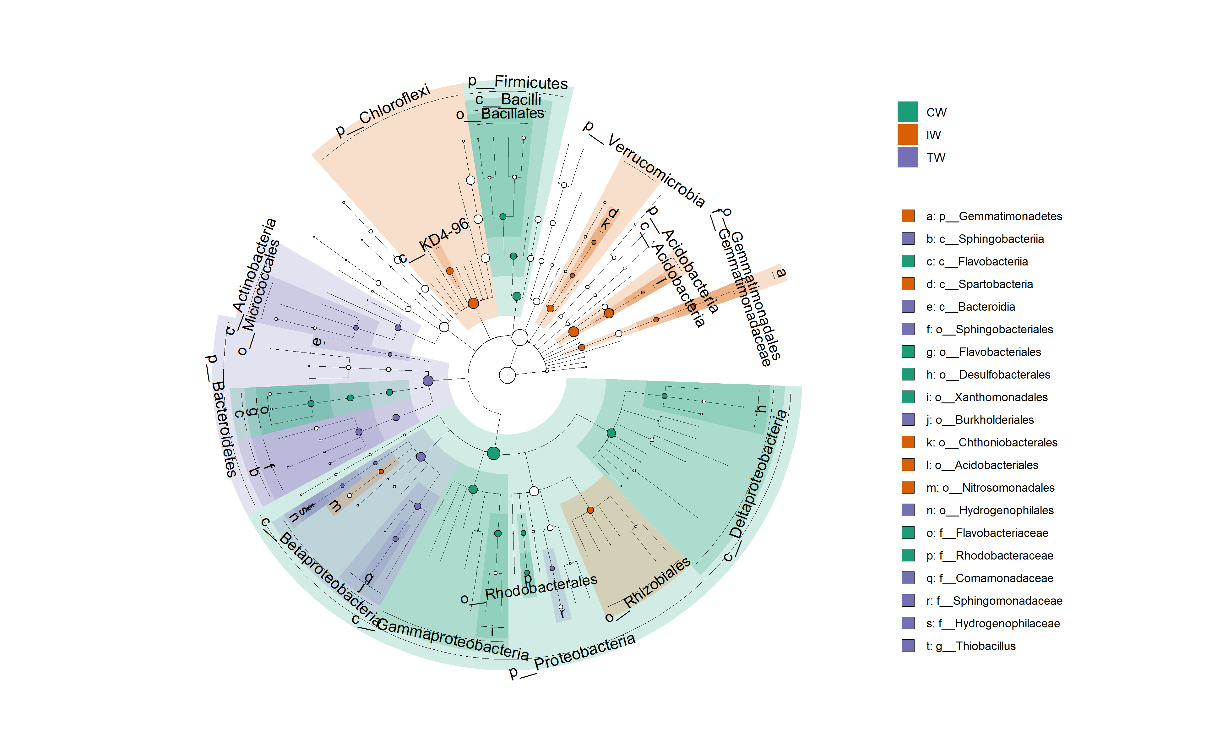 cladogram aesthetics · Issue #180 · ChiLiubio/microeco · GitHub
