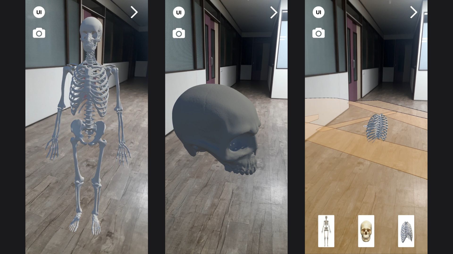 GitHub - dhairyapandya05/HumanAnatomyUsingAR: Human Anatomy using AR ...