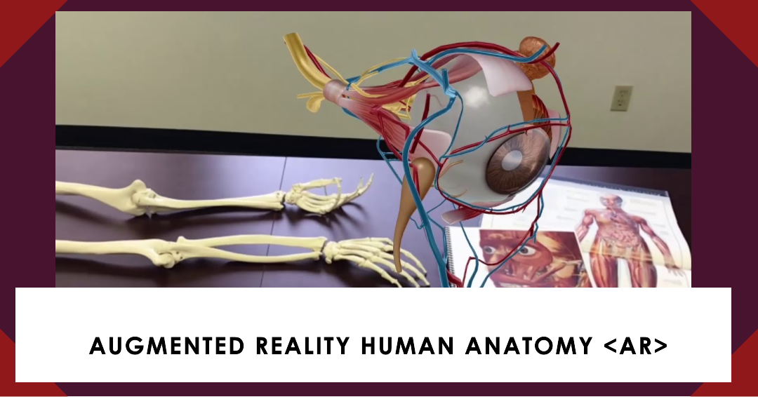 GitHub - dhairyapandya05/HumanAnatomyUsingAR: Human Anatomy using AR ...