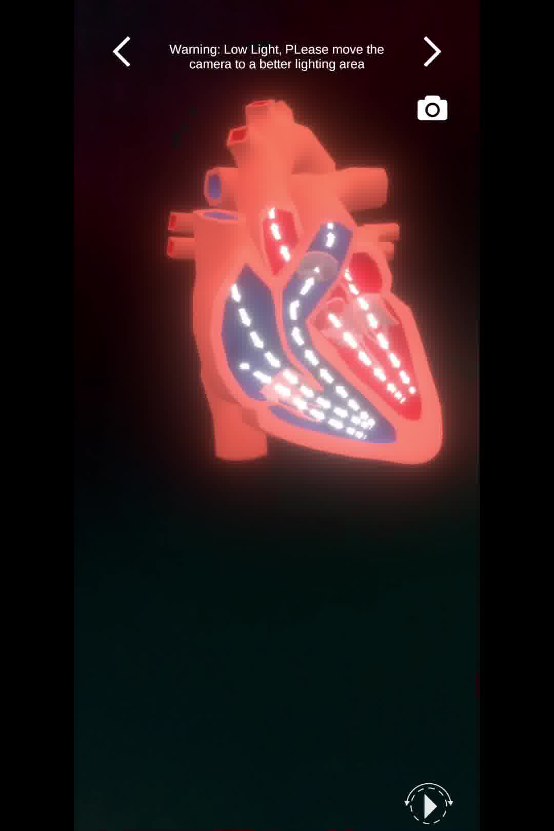 GitHub - dhairyapandya05/HumanAnatomyUsingAR: Human Anatomy using AR ...