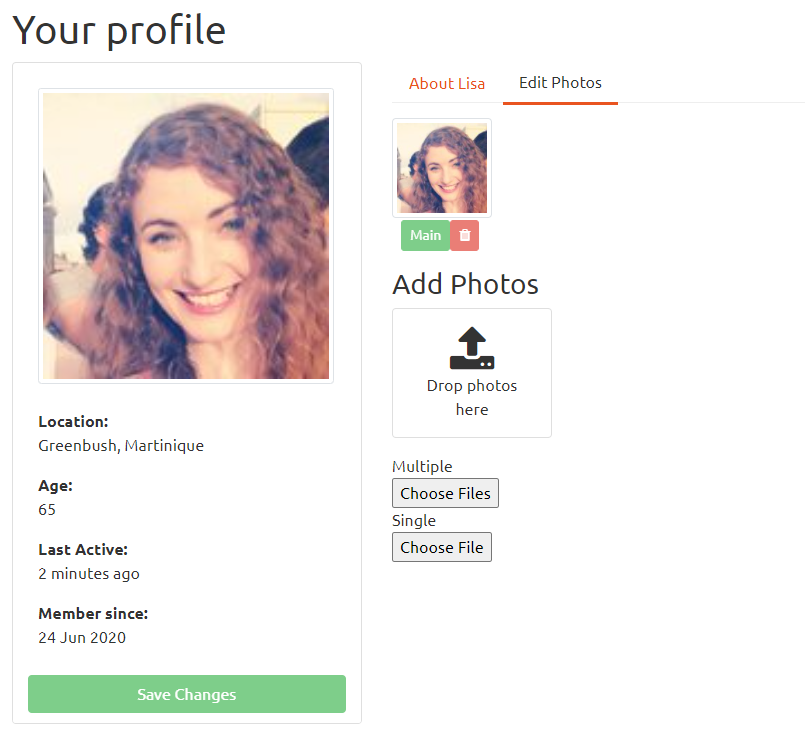 GitHub - Filip-92/DatingApp: Web application built using ASP.NET Core API (.Net 5.0) and Angular 10
