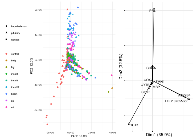 PCA showing the relationship between sex, treatment, tissue · Issue #4 · macmanes-lab ...