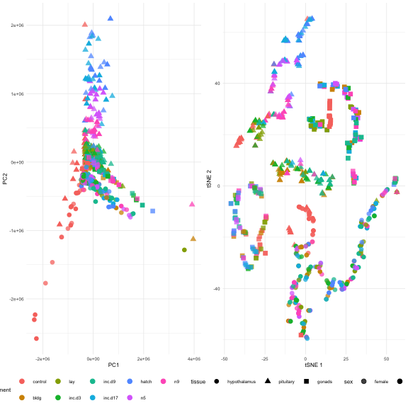PCA showing the relationship between sex, treatment, tissue · Issue #4 · macmanes-lab ...