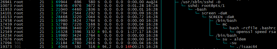 Strange reporting of app CPU usage (wrong app reported) · Issue #6805 · netdata/netdata · GitHub