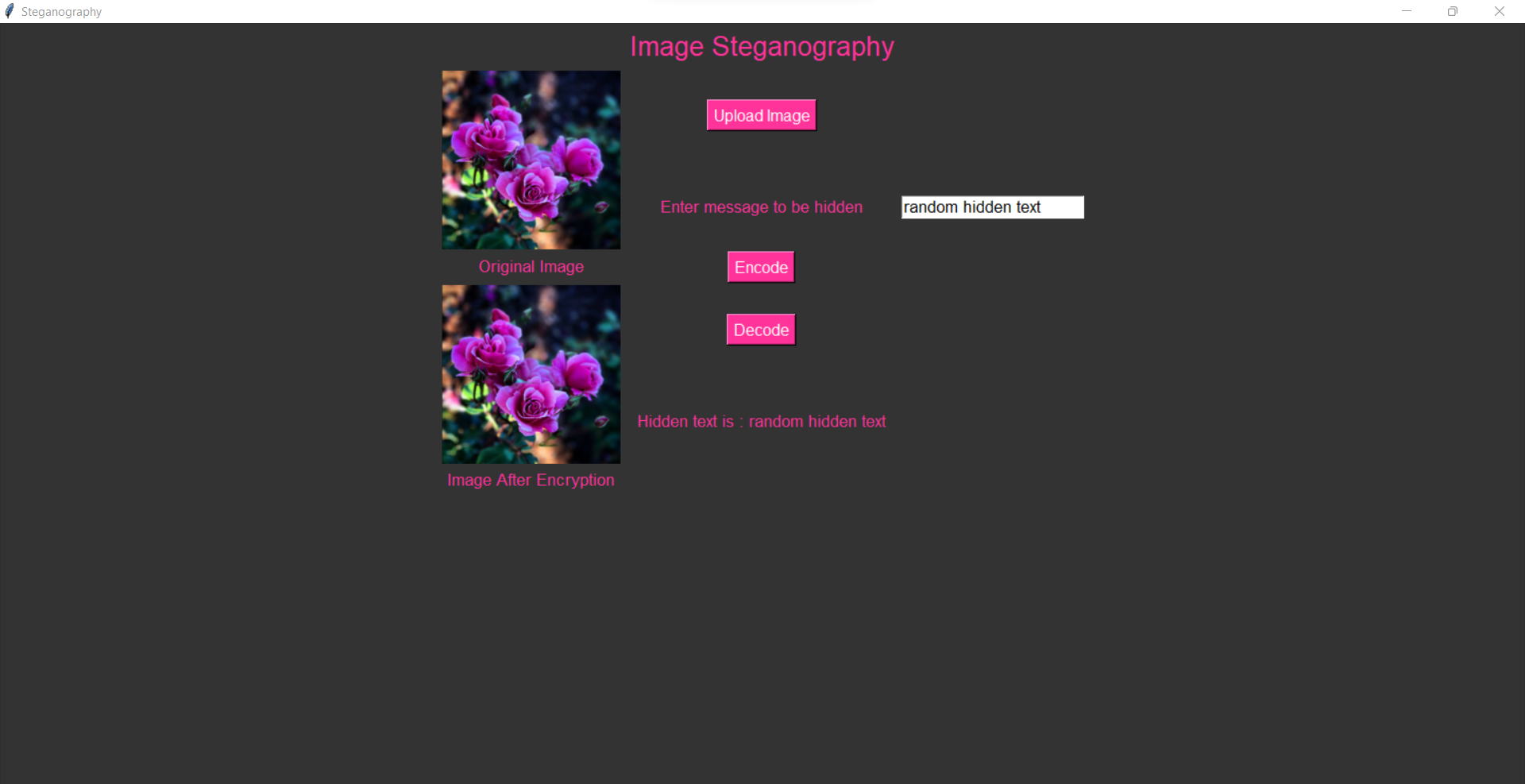GitHub - rprkh/IS_IA_Image_Steganography