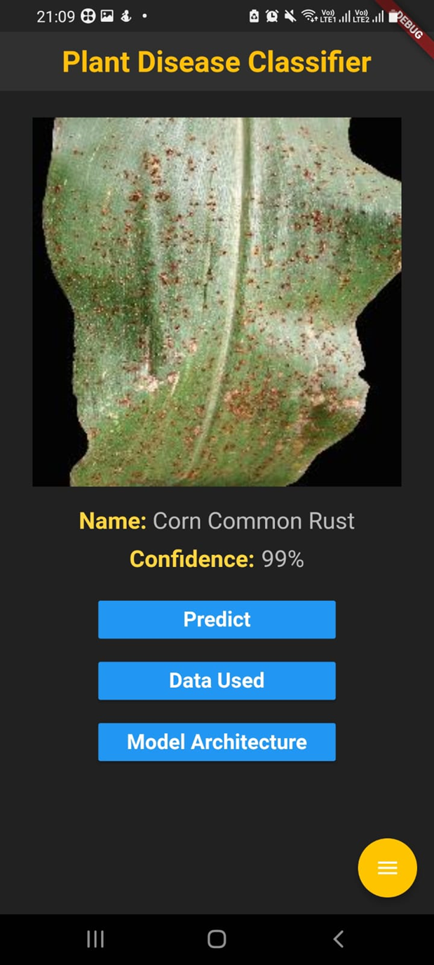 GitHub - Uchit-2428/Plant-Disease-Classification-using-Deep-Learning