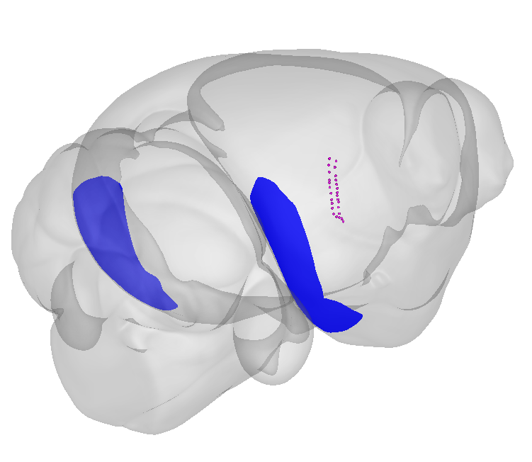 'Scene' object has no attribute 'get_actors' · Issue #1 · brainglobe/bg-brainrender-gui · GitHub
