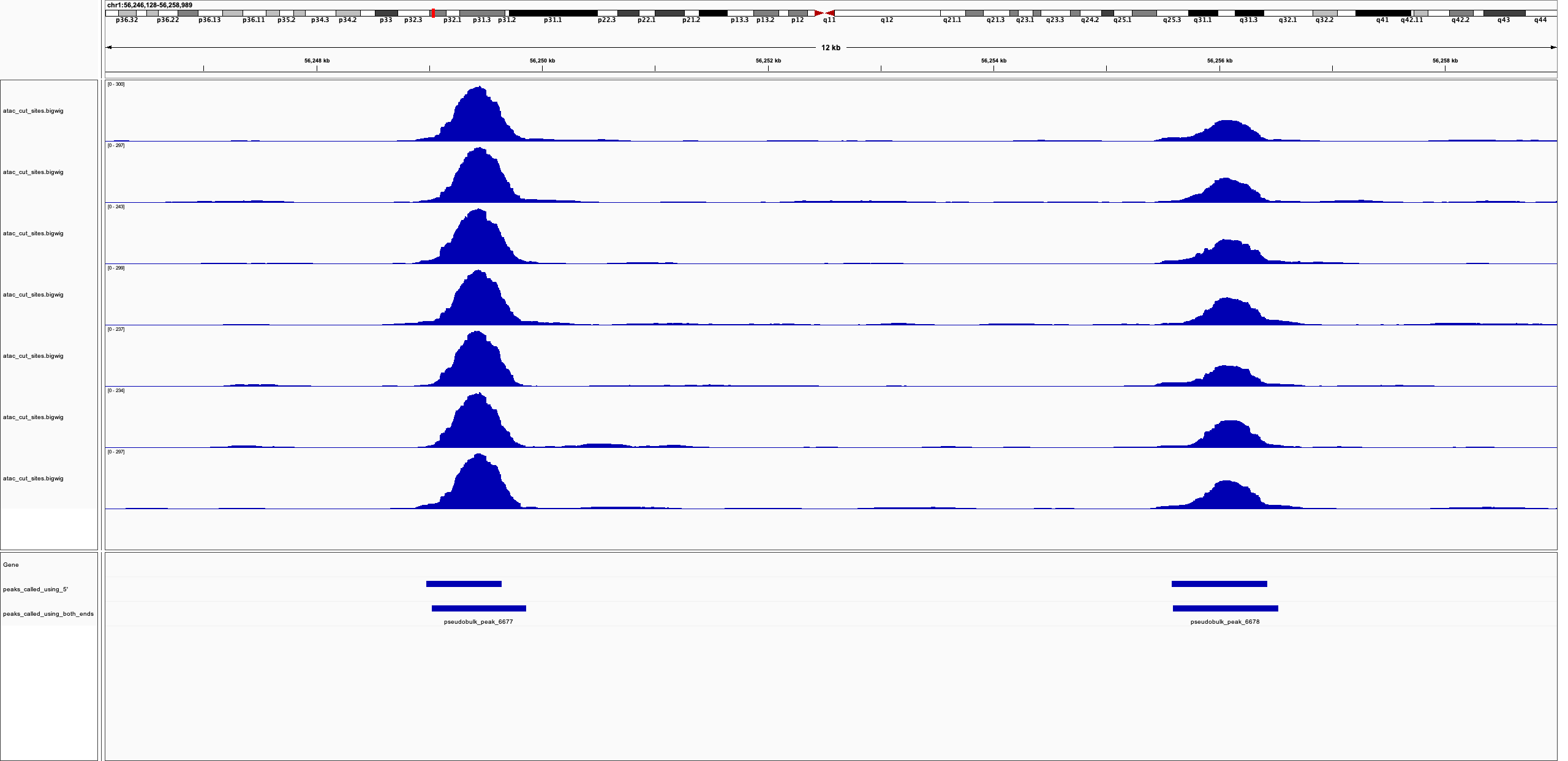 using default macs2 peak calling might miss signals · Issue #682 · stuart-lab/signac · GitHub