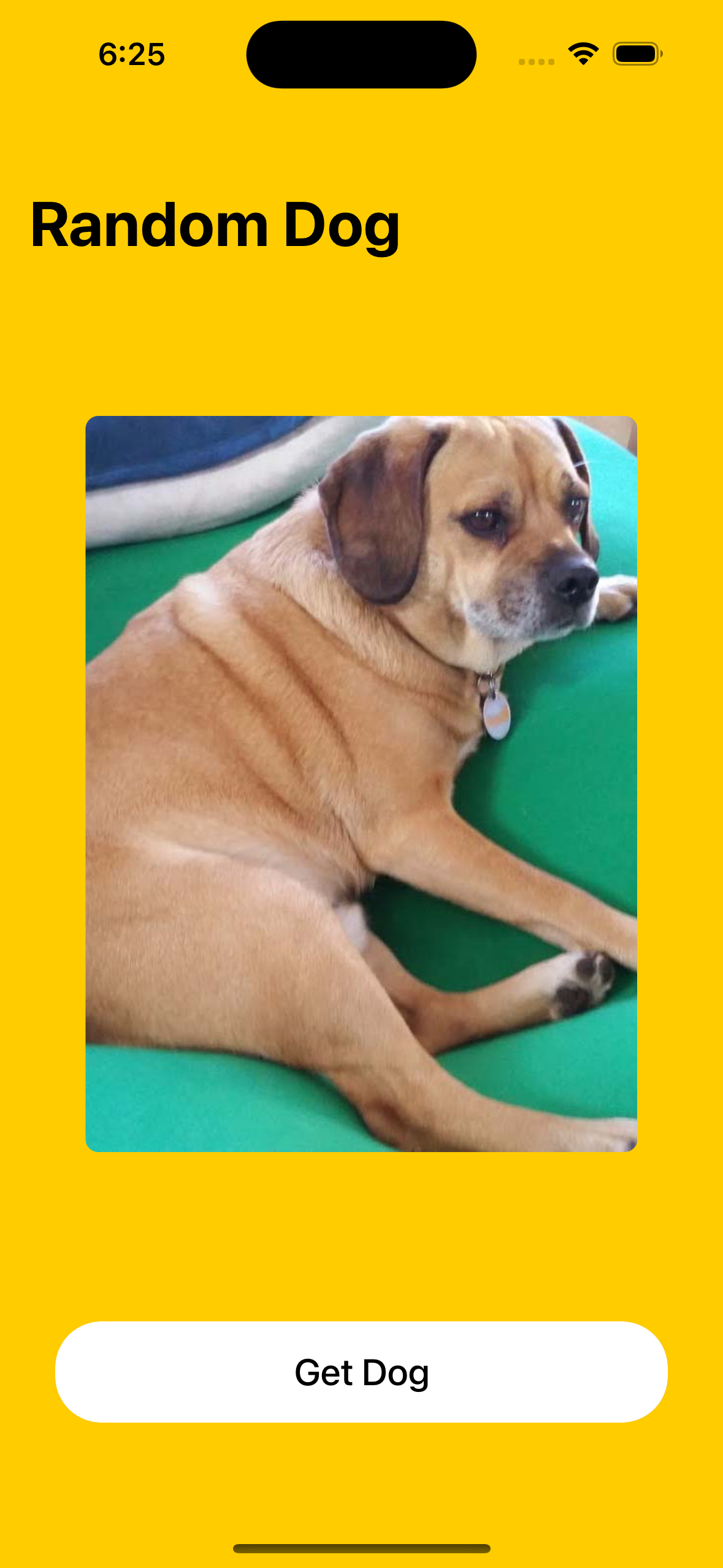 GitHub - eftekin/Randogs-iOS-App: 🐶 Randogs is a simple iOS app that lets you view random ...