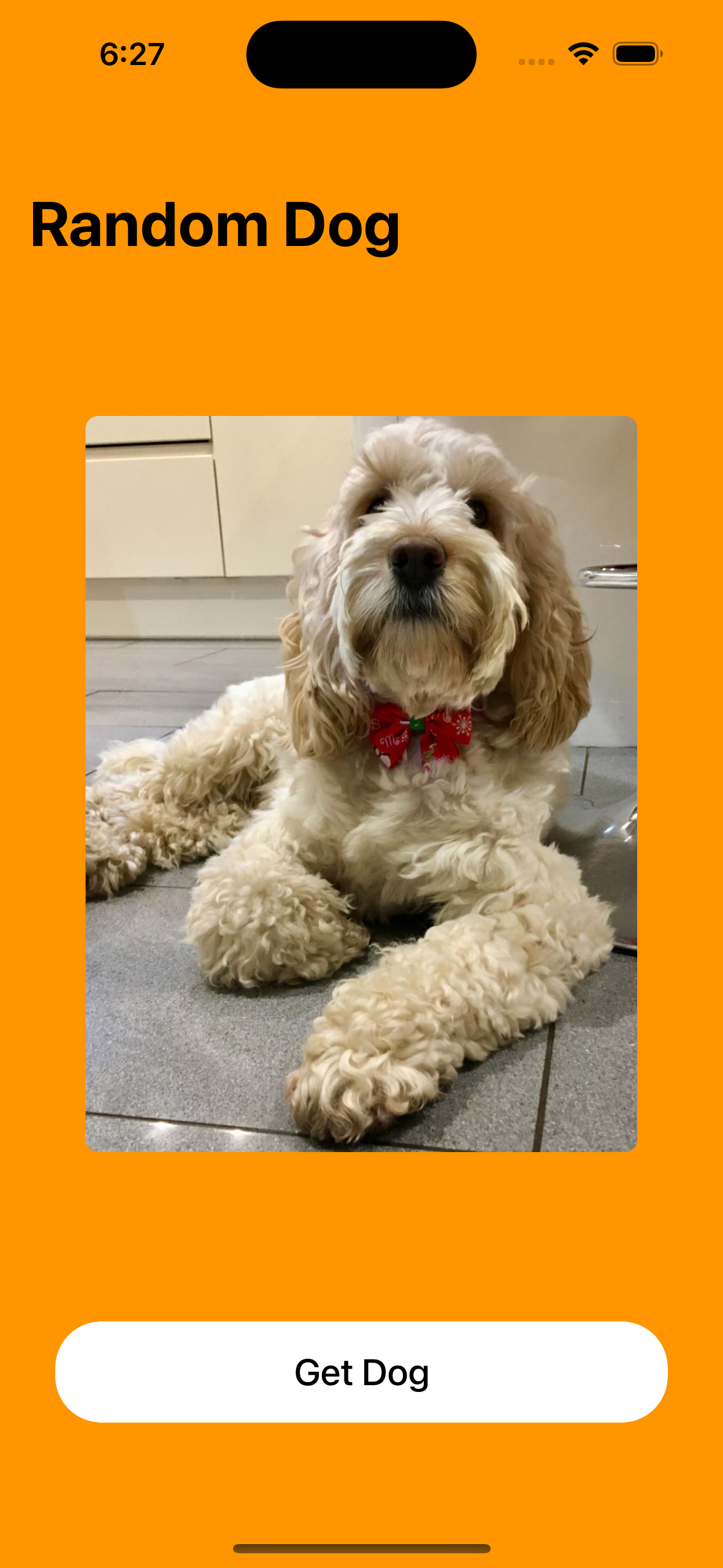 GitHub - eftekin/Randogs-iOS-App: 🐶 Randogs is a simple iOS app that lets you view random ...