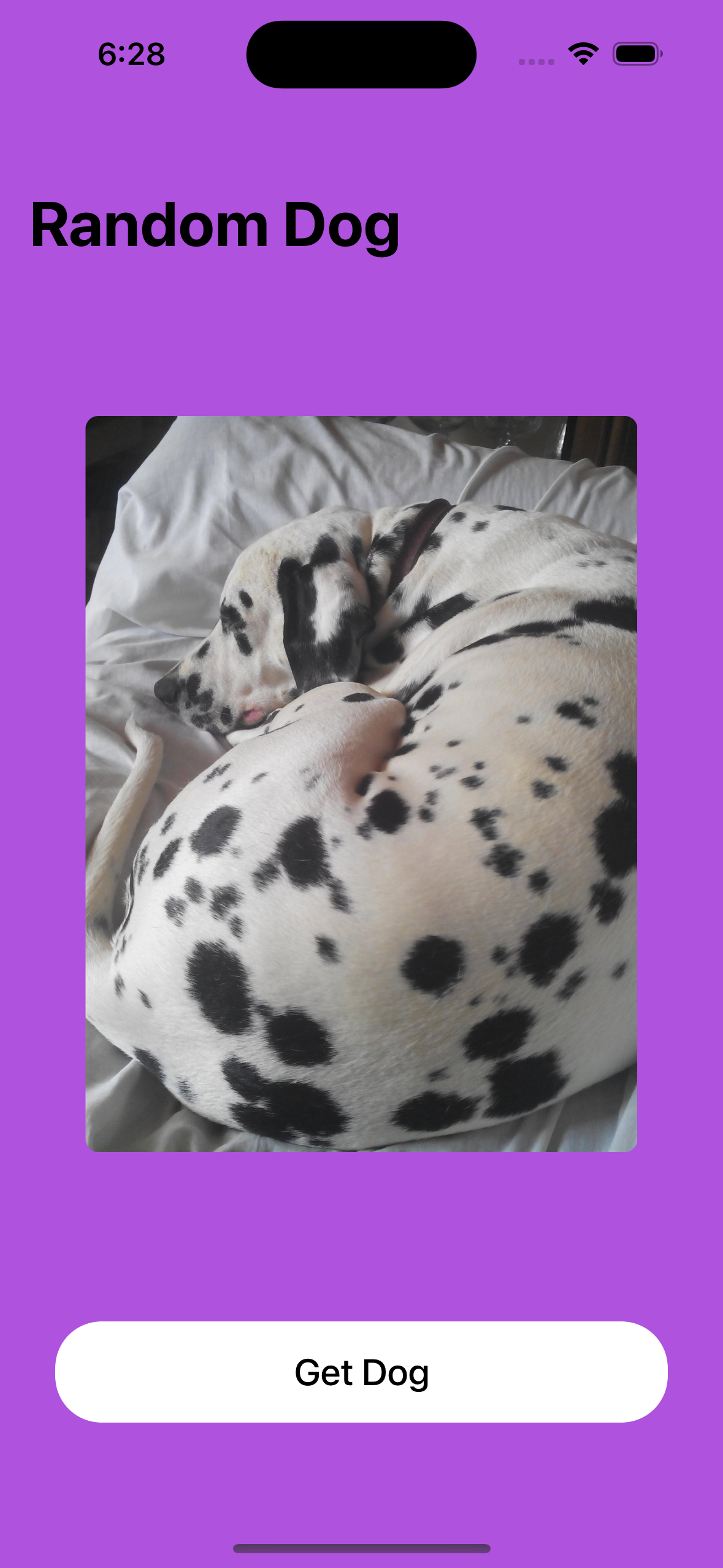 GitHub - eftekin/Randogs-iOS-App: 🐶 Randogs is a simple iOS app that ...