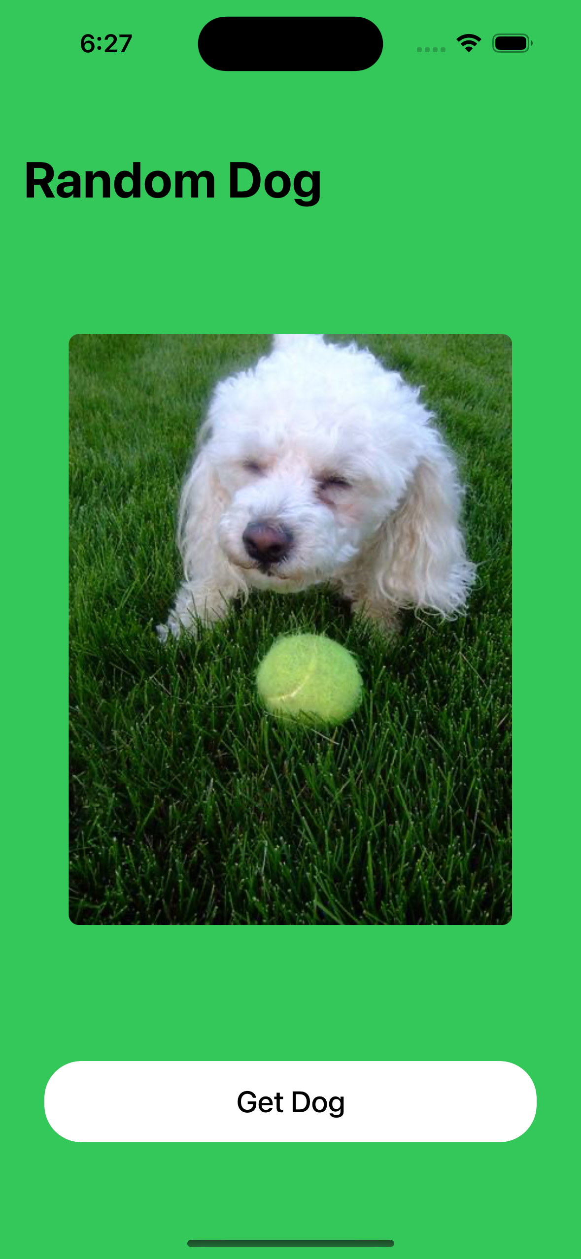 GitHub - eftekin/Randogs-iOS-App: 🐶 Randogs is a simple iOS app that lets you view random ...