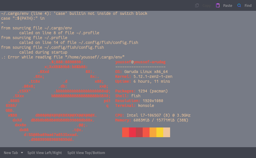 Terminal startup error · Issue #9479 · rust-lang/cargo · GitHub