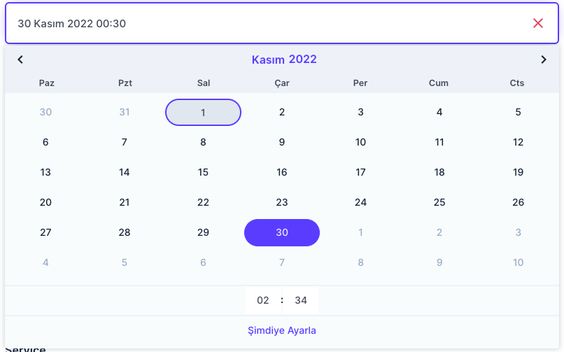 Datetime picker Turkish localization bug · Issue #16247 · directus ...