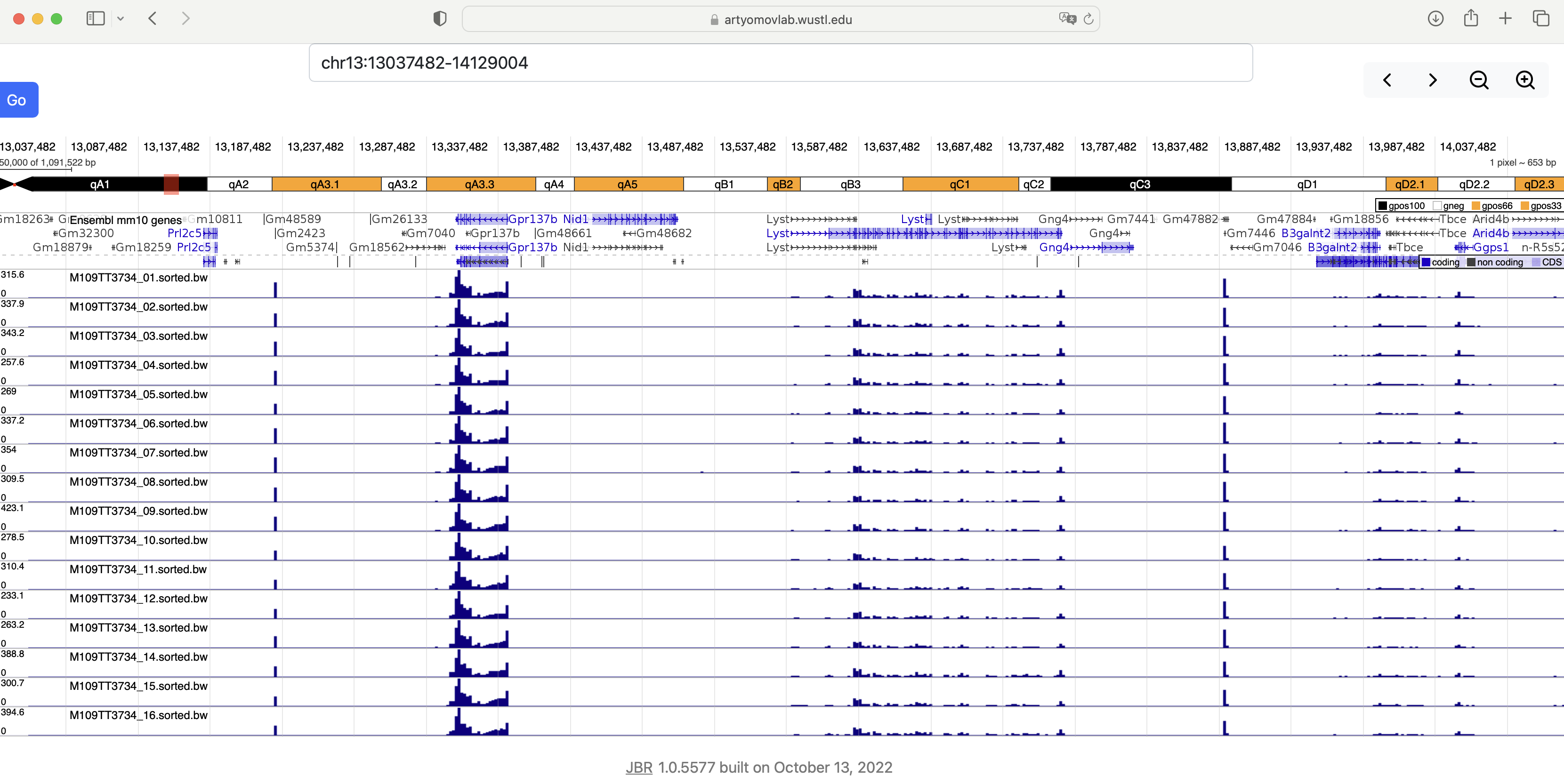 Web UI is rendered incorrectly on Safari in Mac OS · Issue #178 · JetBrains-Research/jbr · GitHub