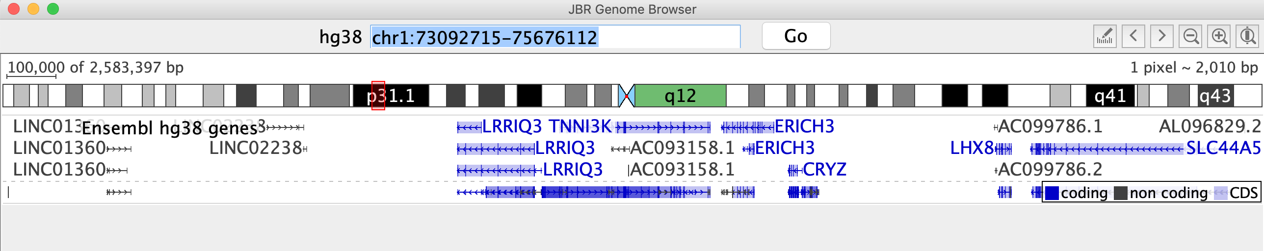 Genes track view - gene names blinking · Issue #56 · JetBrains-Research ...