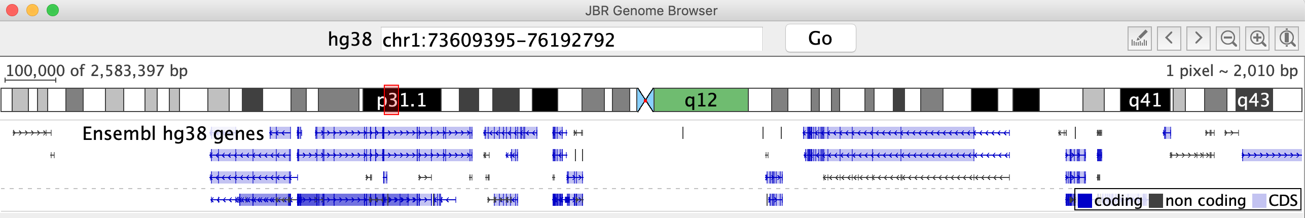 Genes track view - gene names blinking · Issue #56 · JetBrains-Research ...