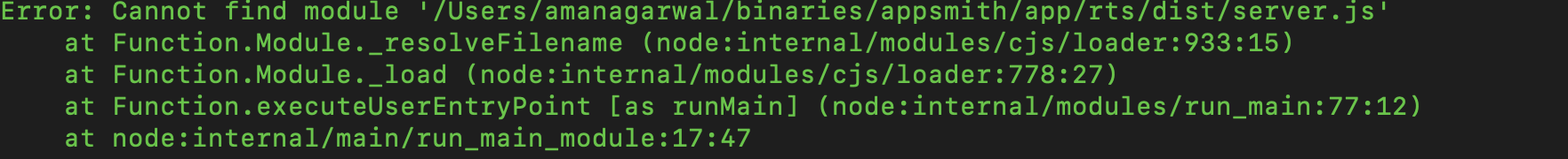 [Bug]: Unable to start RTS server · Issue #17176 · appsmithorg/appsmith · GitHub
