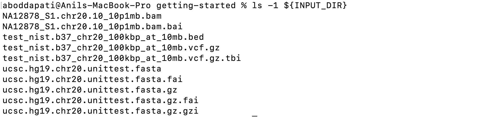 Problem with docker run command · Issue #593 · google/deepvariant · GitHub