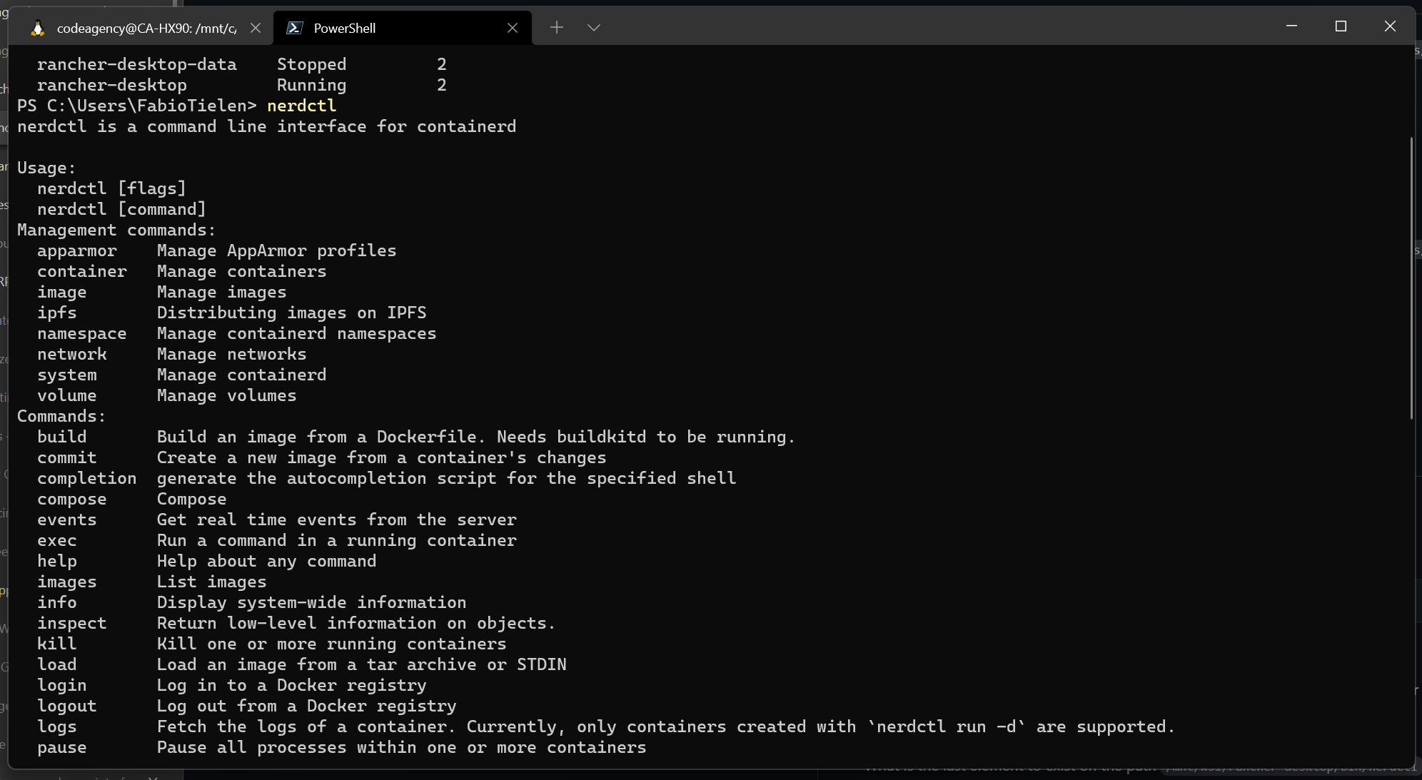 nerdctl not working in WSL2 after installing Rancher Desktop · Issue ...