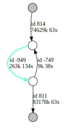 How to generate custom contigs from assembly graph · Issue #526 ...
