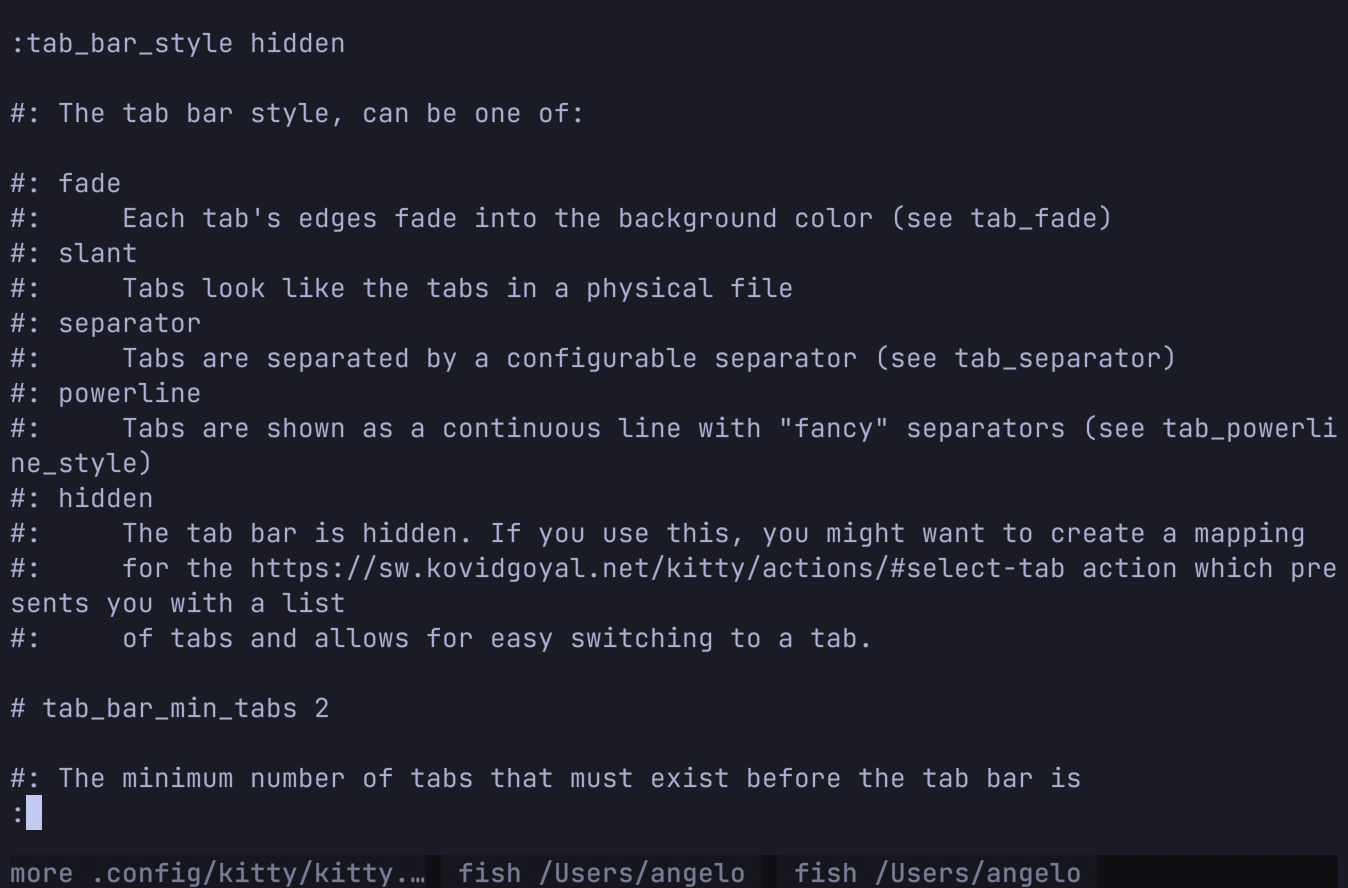 tab_bar_style seems to be ignored in 0.24.2 · Issue #4660 · kovidgoyal ...