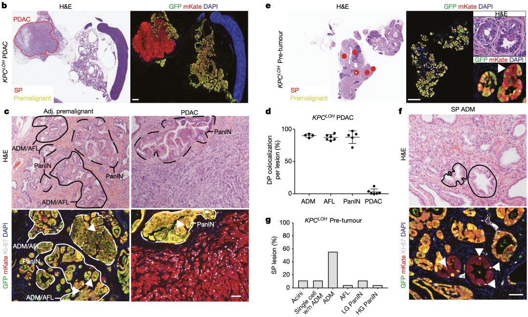 【周刊】第 69 期 · Issue #1455 · openbiox/weekly · GitHub