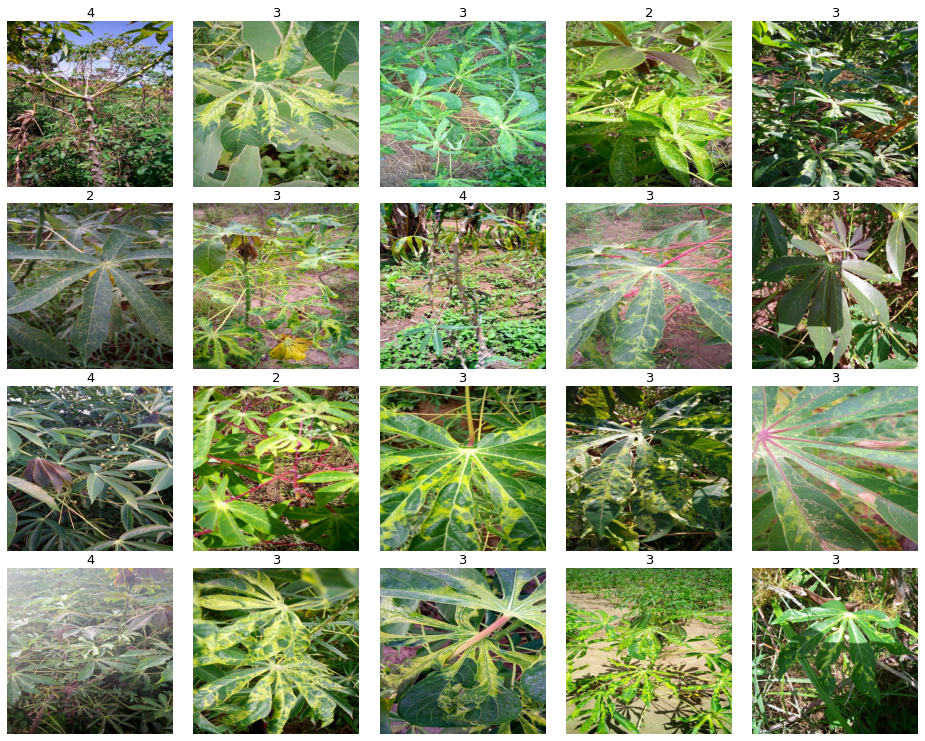 GitHub - marlonfs/cassava-leaf-disease-classification-kaggle: Here a ...