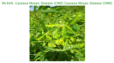 GitHub - AdiShirsath/Cassava-Leaf-Disease-Detection: API to Detect Leaf Disease